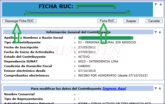 SOL – FICHA RUC – STN Perú